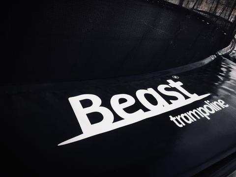 The Amazing Spider Trampoline by Beast Trampolines (14 foot) – Beast ...